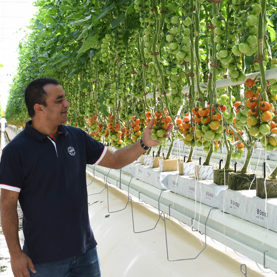 Purpose & Core values - Van der Hoeven Horticultural Projects